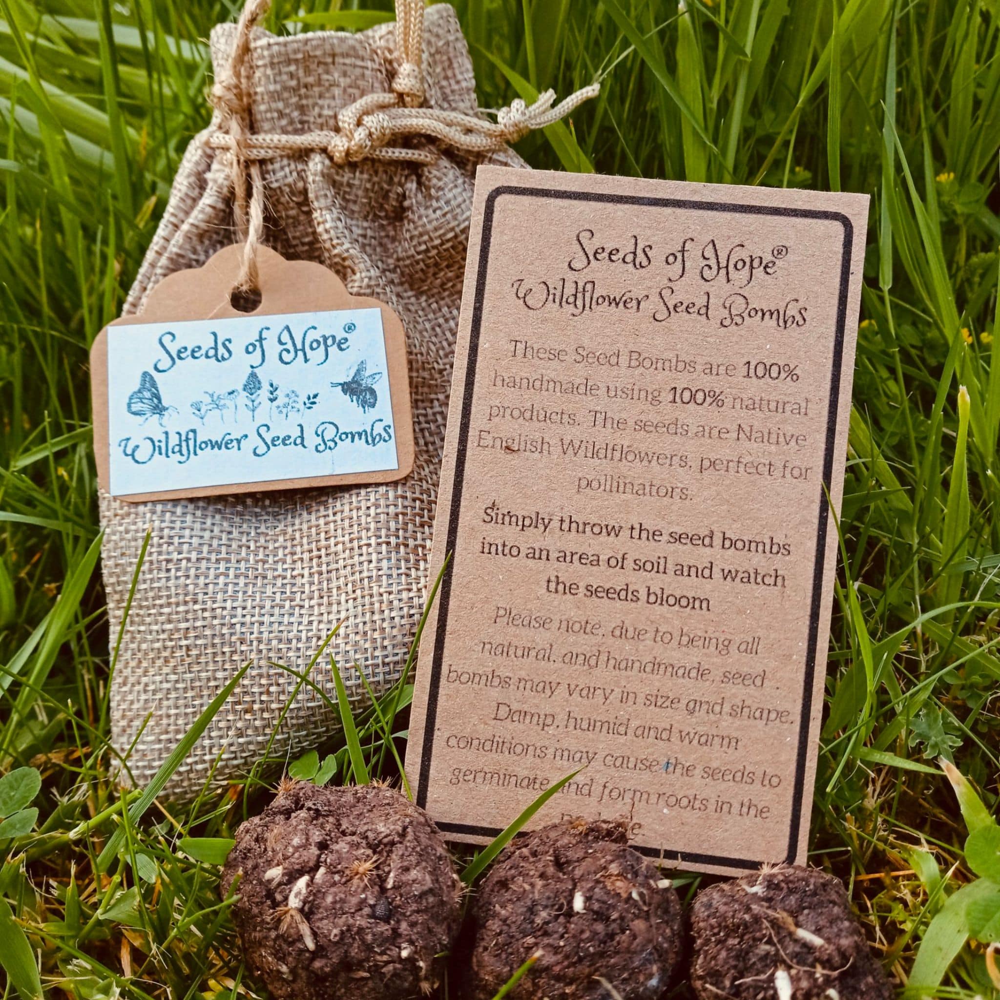 Wildflower Bombs | Gift Set with Seeds for Pollinators – Good Things